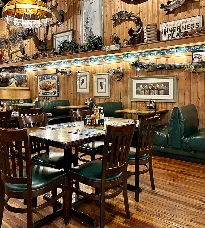 The dining room walls showcase Florida's outdoor heritage with mounted fish and wildlife &ndash; not as trendy decor but as authentic artifacts.