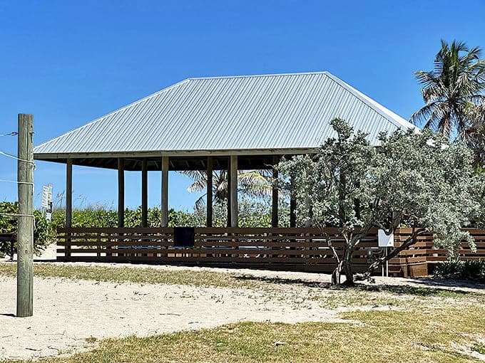 This shaded sanctuary offers respite from the Florida sun, proving that even paradise occasionally needs a timeout spot.