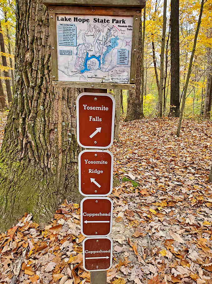 Trail markers point adventurers toward Yosemite Falls &ndash; not California's famous cascade, but Ohio's own hidden woodland treasure.