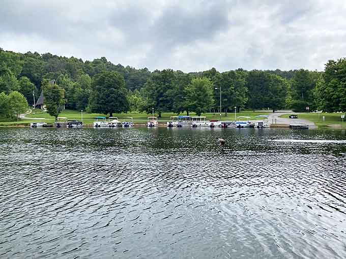 The boat dock area serves as Lake Logan's social hub, where adventures begin and end with stories to share.