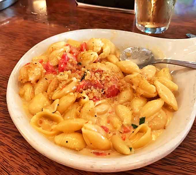 Creamy pasta shells embrace chunks of lobster and tomato, elevating mac and cheese from childhood favorite to grown-up indulgence.