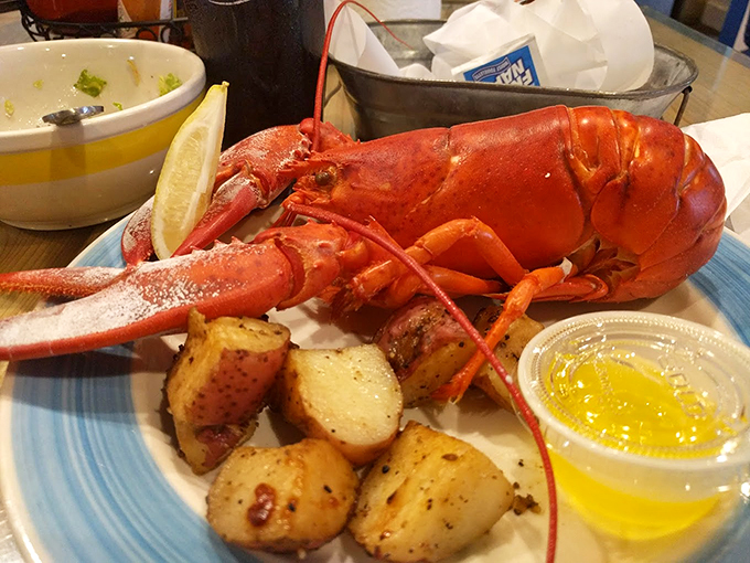 The main event has arrived! This whole lobster isn't just a meal; it's an experience that'll have you rolling up your sleeves with glee.