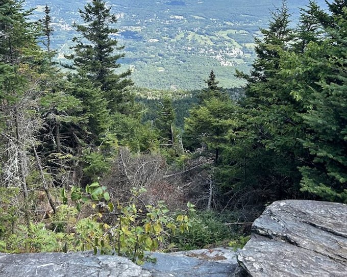 Nature's IMAX theater, where the Green Mountains perform their seasonal color changes in spectacular fashion.