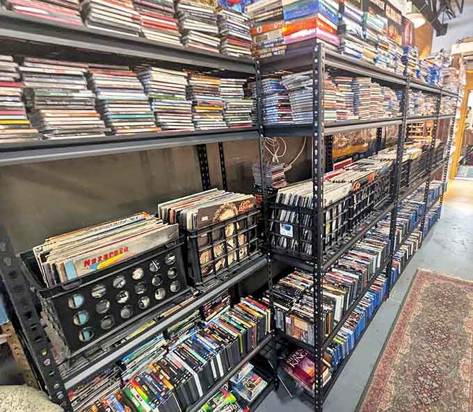 Vinyl records, CDs, and VHS tapes stand in orderly rows &ndash; physical artifacts from when entertainment came in packages you could hold.