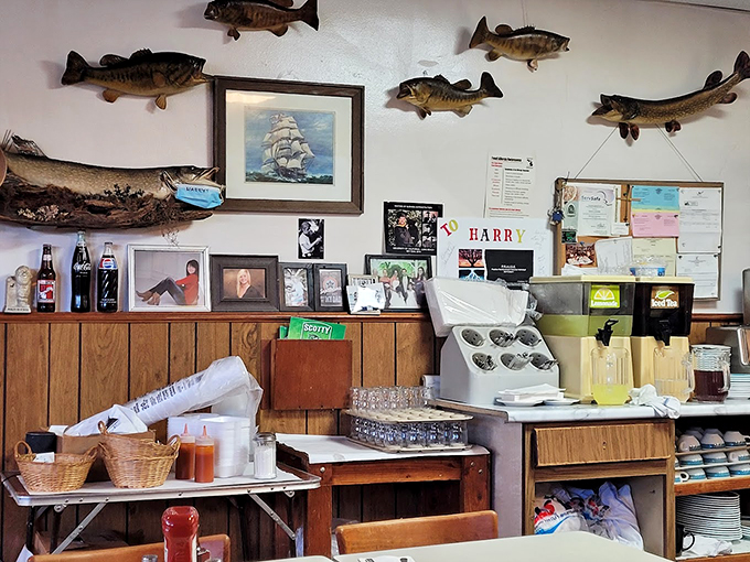 Part restaurant, part museum. It's like if the Smithsonian had a delicious, deep-fried baby with a local diner.