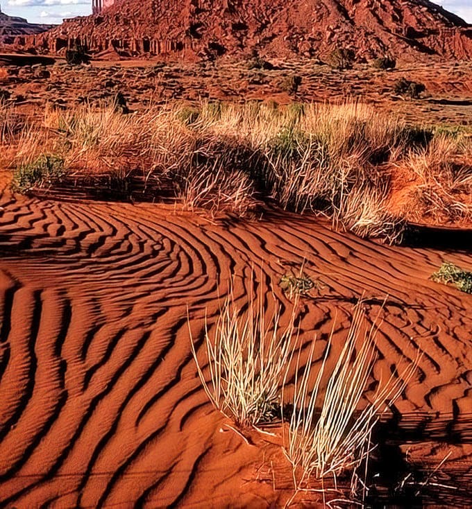 The rippled sand patterns look like nature's own abstract art, with each gust of wind creating a new masterpiece.