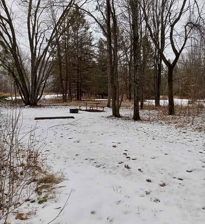 Winter transforms the park into a snow globe scene, minus the shaking and the tiny plastic people.
