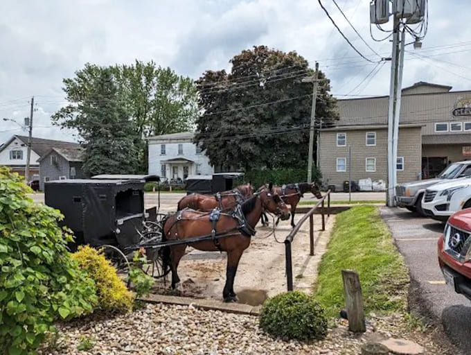 Horse-drawn buggies in the parking lot serve as a gentle reminder that you've entered a different world entirely.