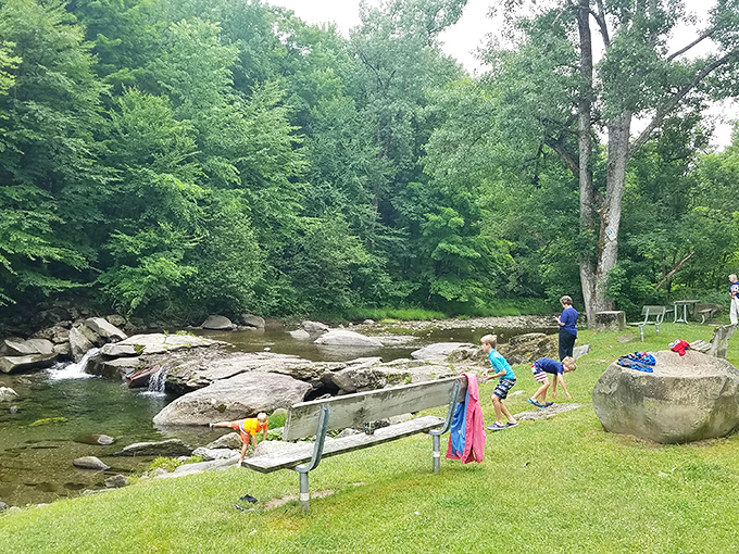 Children exploring nature's playground &ndash; no batteries required, no screen time limits needed. Just pure, unfiltered joy by the water's edge.