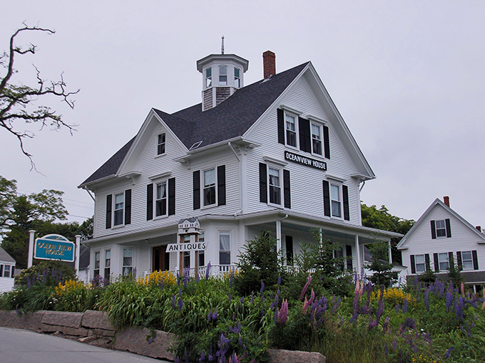 The Oceanview House welcomes visitors with Victorian charm and gardens bursting with coastal blooms.