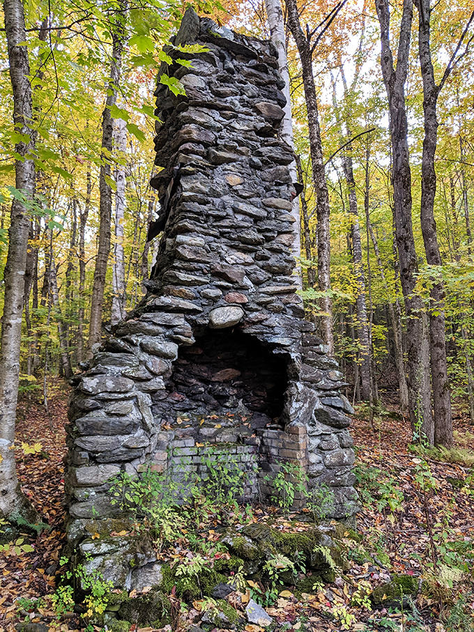 This stone chimney stands as a silent storyteller &ndash; the last remnant of someone's wilderness home from a bygone Vermont era.