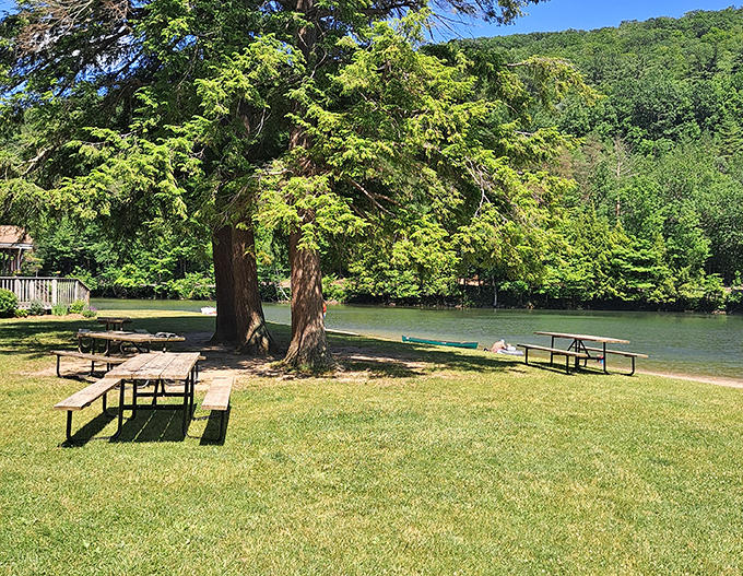 Picnic tables positioned with lake views transform simple sandwiches into memorable dining experiences worth savoring slowly.