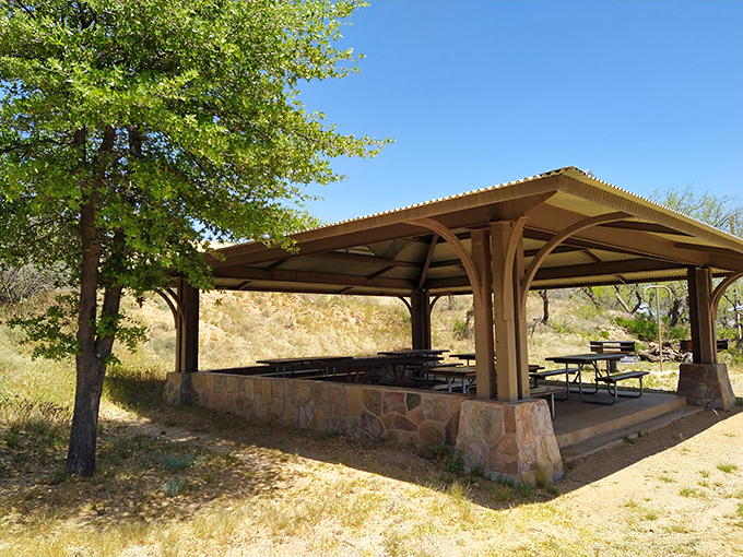 A shaded picnic shelter offers respite from the Arizona sun &ndash; because even the most dedicated nature lovers appreciate not becoming human jerky.