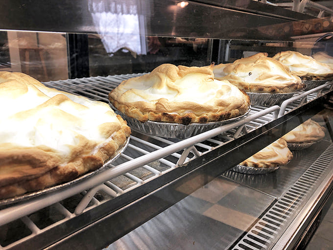 Pies on Tray: The daily lineup awaiting their fate &ndash; each one destined to become someone's very good decision before the day ends.
