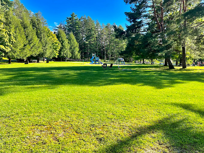 Emerald grass stretches toward playgrounds and pines, creating an idyllic spot for family memories. 
