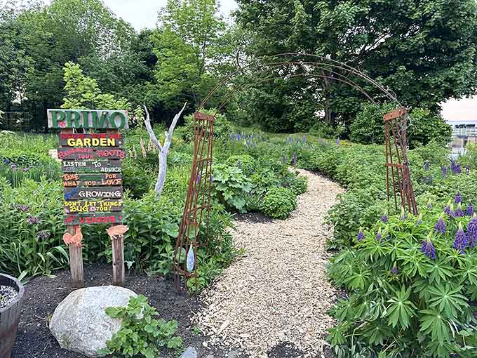 Primo's garden grows the ingredients that will soon become your favorite dishes of the year.
