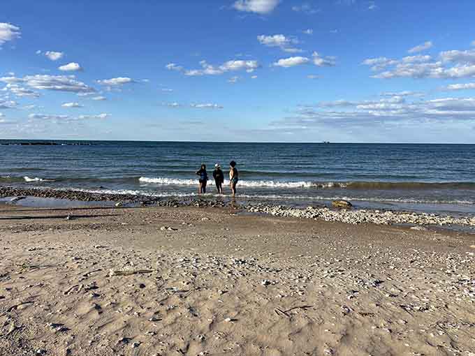 Three figures wade into Lake Michigan's waves, living proof that freshwater beaches can deliver everything ocean beaches promise minus the salt.