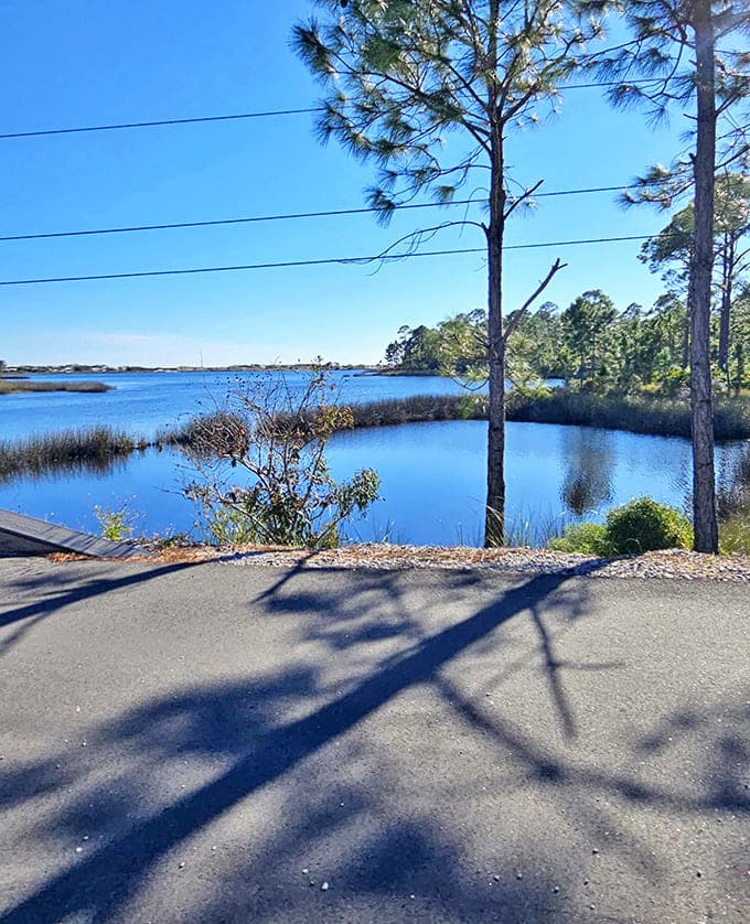 Even from the highway, Deer Lake's wetland views hint at the natural wonders waiting just beyond.