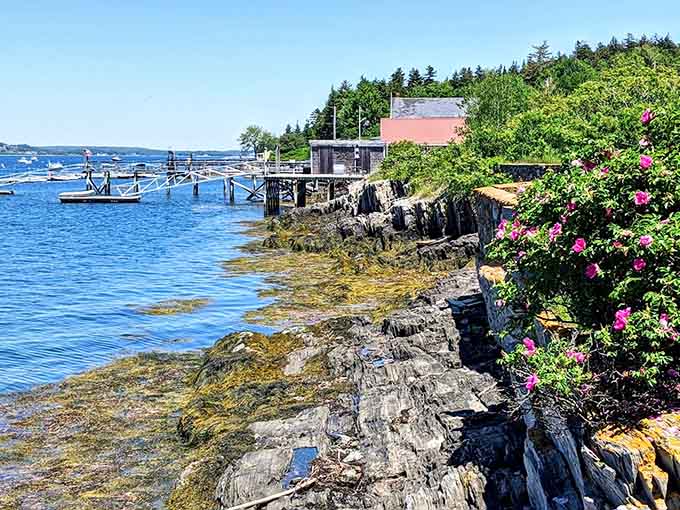 The view from the caf&eacute; proves that location matters, especially when you're eating the world's best lobster roll.