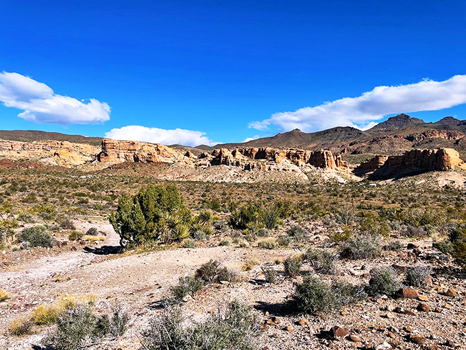 The harsh beauty of the Arizona desert stretches to the horizon, the same view that greeted hopeful miners a century ago.