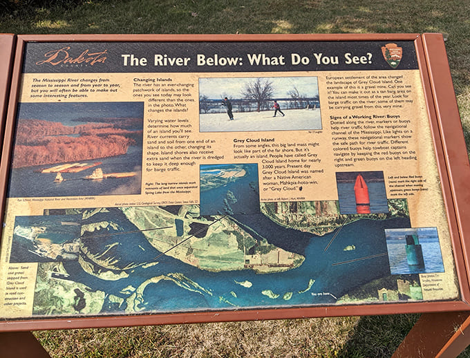 Educational signs throughout the park teach you about the river's secrets, because learning something new makes the views even more impressive.