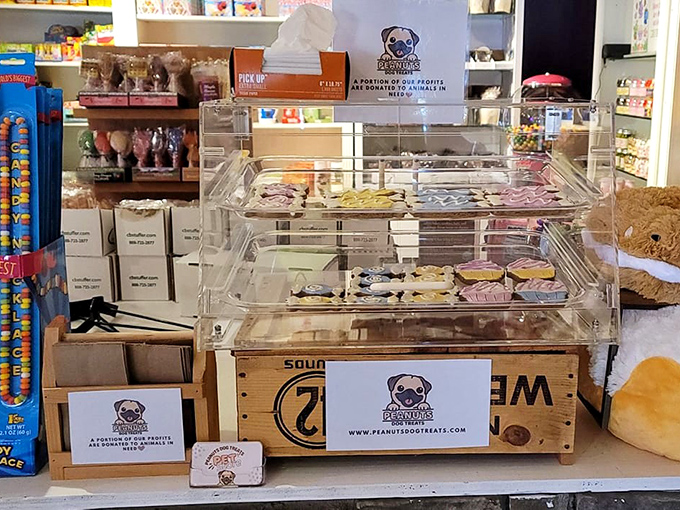 Peanut's Pug Treats display shows even four-legged friends aren't forgotten. Because dogs deserve their own version of candy shop joy, without the chocolate hazards.