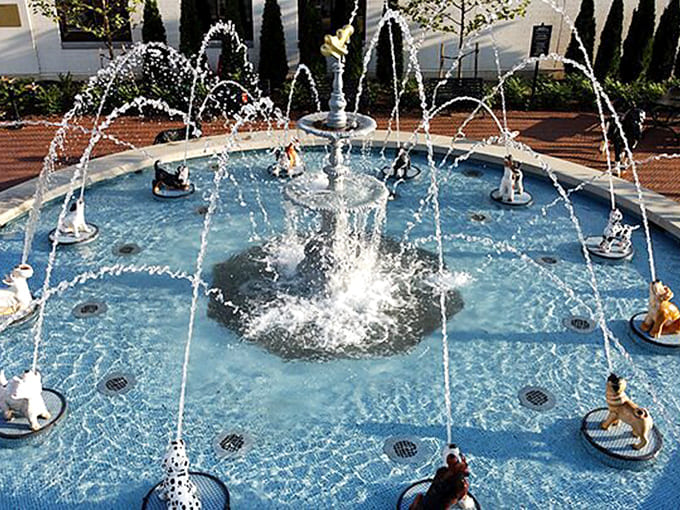 South Main Plaza's dancing fountain creates a symphony of water and light – nature and engineering performing a duet in perfect harmony.