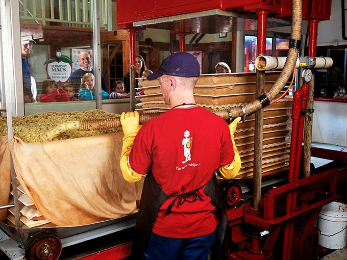 The cider press maestro at work &ndash; transforming humble apples into liquid gold with equipment that looks part industrial revolution, part Willy Wonka factory.