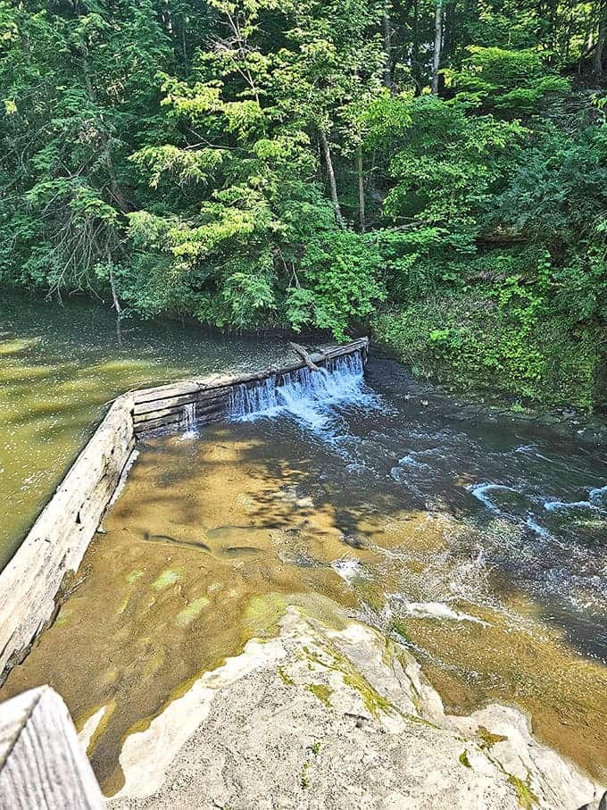 The stone dam creates a gentle waterfall that sounds like nature's white noise machine &ndash; perfect for drowning out thoughts of Monday's meetings.
