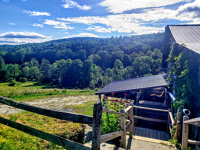 At Sugarbush Farm, rolling hills frame rustic buildings where fourteen varieties of cheese and four grades of maple syrup await sampling.