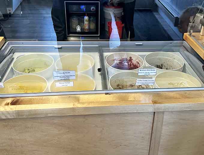 The flavor case displays today's lineup like edible artwork, each one waiting to become someone's new favorite obsession.