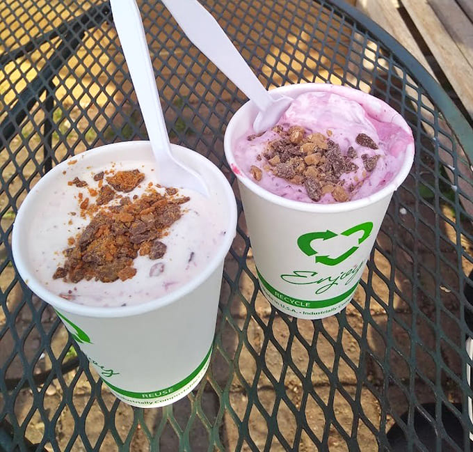 Two frozen custards with candy mix-ins prove that sometimes the best decisions involve choosing both flavors instead of picking just one like a responsible adult.