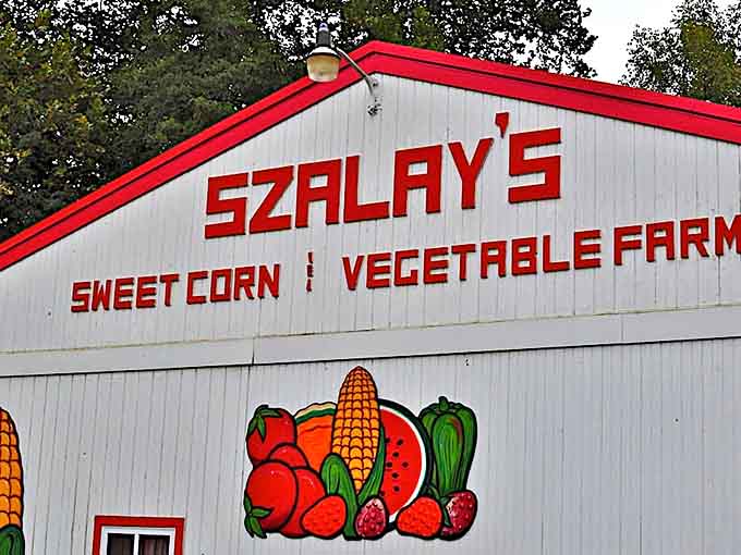 Szalay's Sweet Corn Farm This colorful barn promises produce so fresh you'll swear vegetables were actually meant to have flavor.
