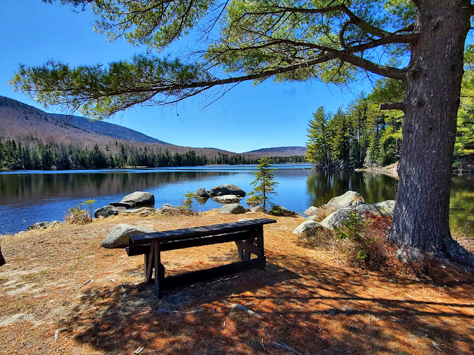 A lakeside bench offers front-row seats to nature's greatest show - no tickets required.