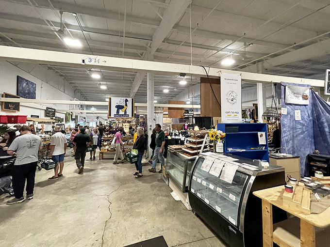United Farmers Market buzzes with weekend energy as locals and visitors alike gather to celebrate Maine's agricultural bounty.