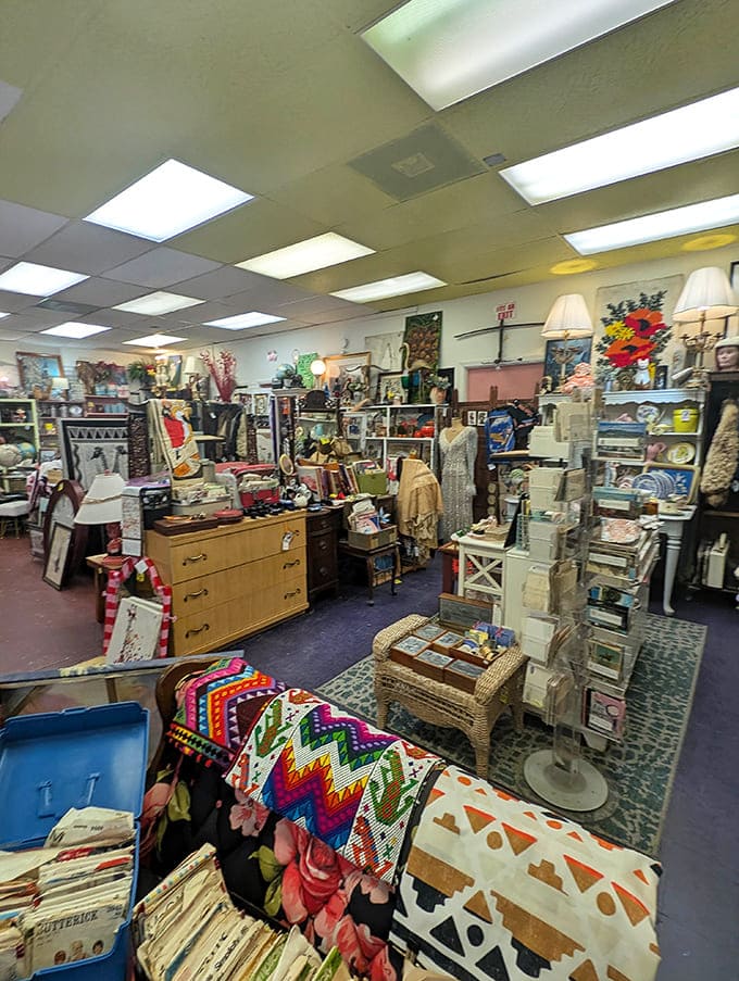 The organized chaos of vintage shopping reveals itself in this colorful corner, where mid-century meets modern in a delightful design mashup.