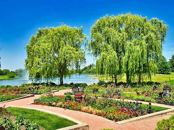 Weeping willows create nature's perfect frame around vibrant garden beds, their graceful branches dancing with every passing breeze.
