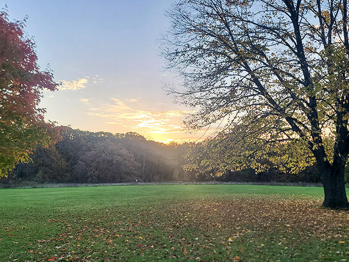 Golden hour bathes the open fields in warm light, creating the perfect backdrop for end-of-day contemplation.
