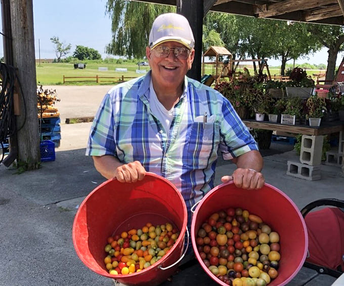 A farmer proudly displays buckets full of freshly picked produce, the fruits of labor that connect us to the land and seasons.