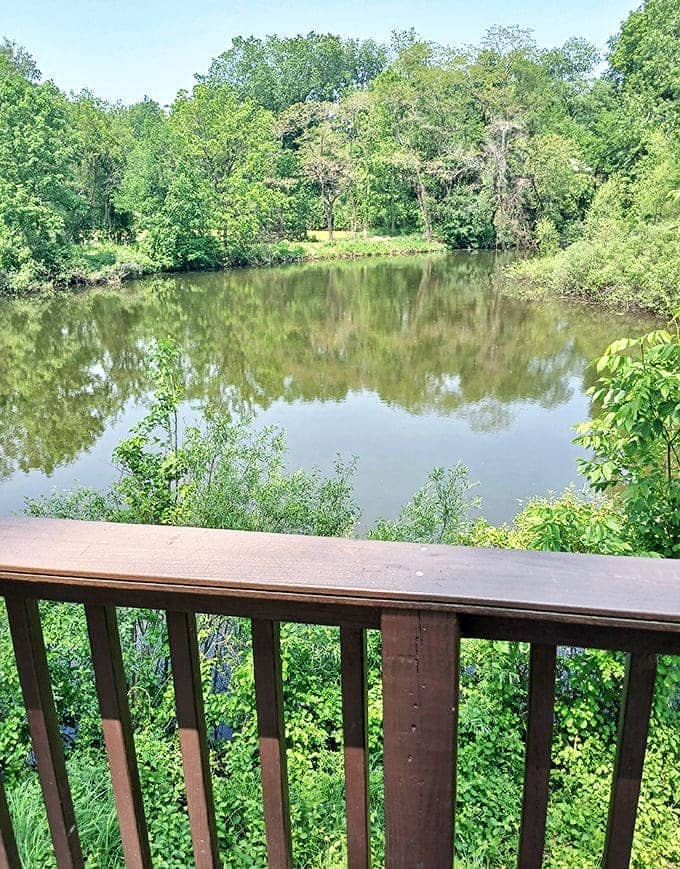 From this peaceful deck, watch nature's reality show unfold across the pond &ndash; no commercial breaks, just pure entertainment.