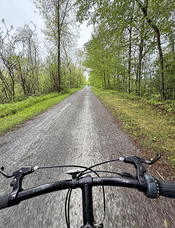 Mountain bikers find challenging terrain just off the main Greenway, where forest trails offer technical rides through Vermont's lush woodlands.