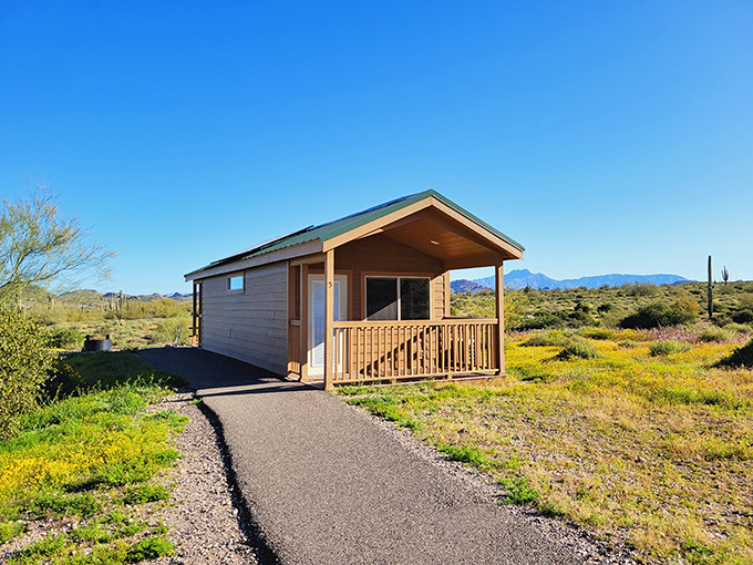 Desert accommodations blend seamlessly with the natural surroundings, offering comfort without compromising the wilderness experience.