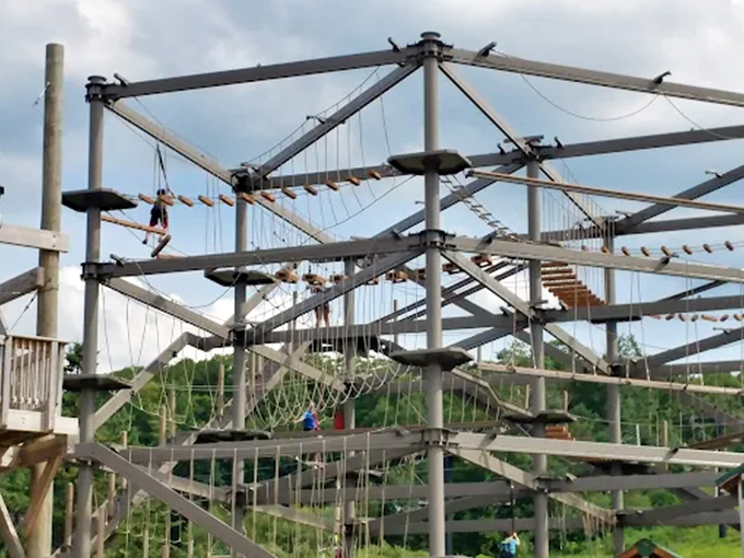 Adventurers traverse suspended pathways high above the ground, creating memories that will last long after returning to earth.