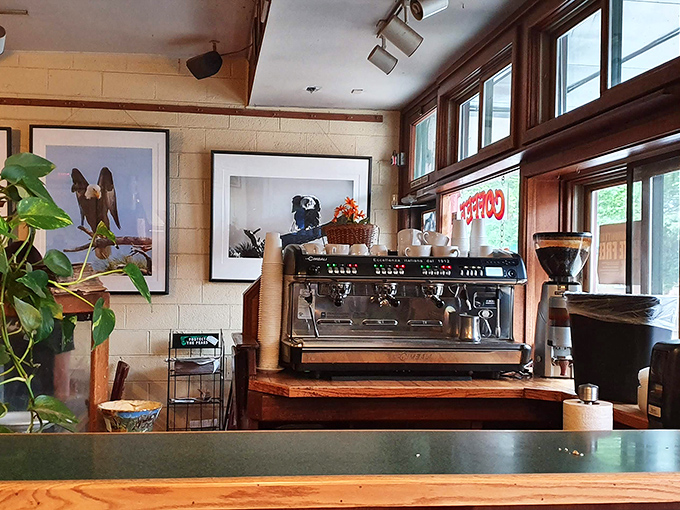 The coffee bar isn't just equipment&mdash;it's an altar where daily miracles are performed by baristas with the focus of neurosurgeons.