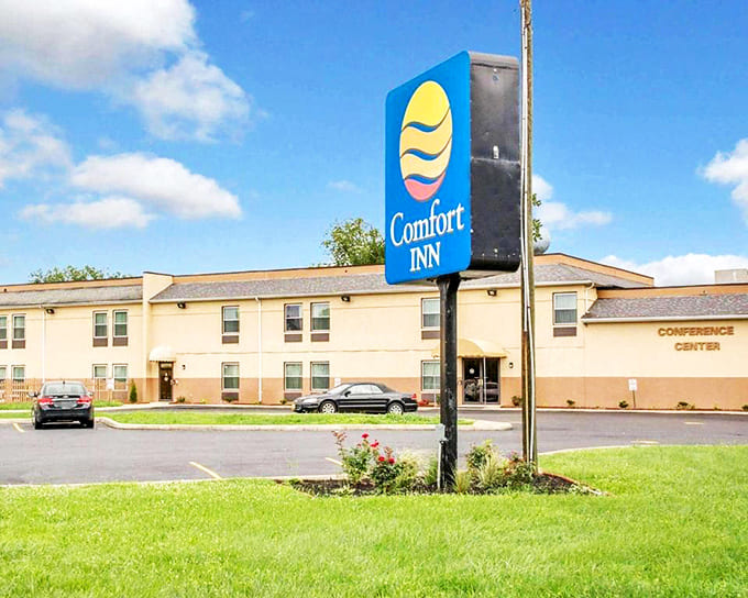 Comfort Inn: After days exploring Piketon's charms, this welcoming outpost offers weary travelers a soft landing and promises of tomorrow's adventures.
