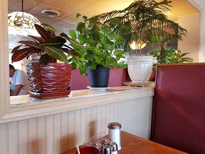 Slide into these booths and prepare for a culinary hug. The warm glow promises good food and even better memories in the making.