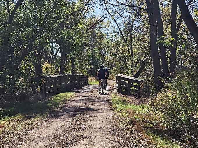 Towering trees reach skyward like nature's skyscrapers, making even the tallest visitor feel wonderfully small in the grand scheme.