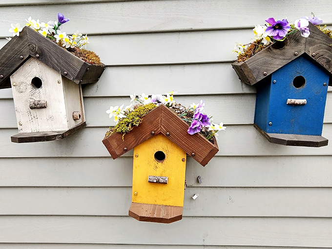 Birdhouses with a view! These colorful cribs are so charming, even the seagulls are getting real estate envy.