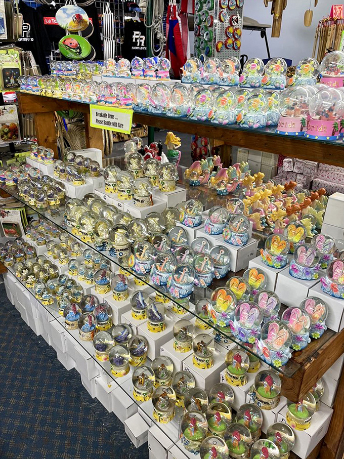 Snow globes and trinkets galore, because nothing says "I visited Florida" like tiny plastic dolphins swimming in liquid-filled domes.