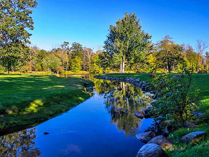 Sunlight transforms ordinary grass into an extraordinary emerald carpet, inviting bare feet and impromptu naps.